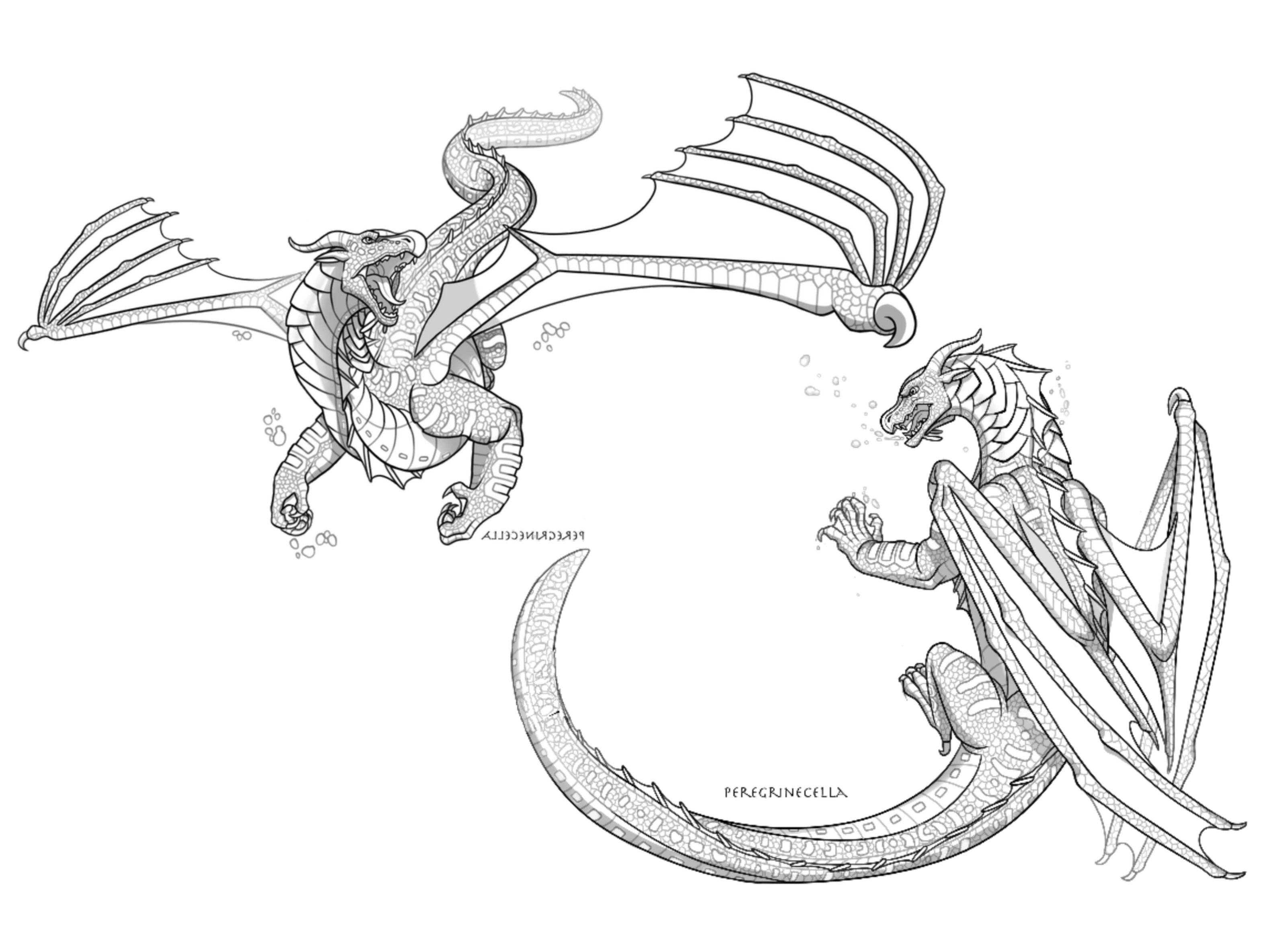 Seawing fight base >:) | Fandom