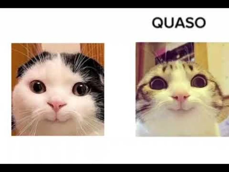 Adding to the list of things we should allow me to do | Fandom