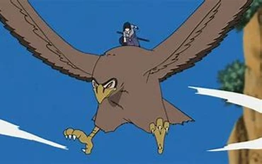 Best Ninja Animal (Pt. 1) | Fandom