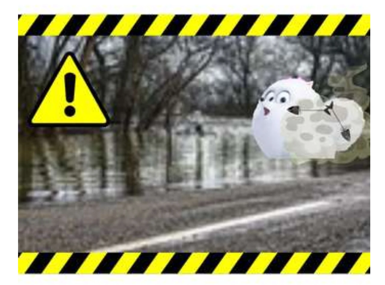 Gidget In A Mess | Fandom