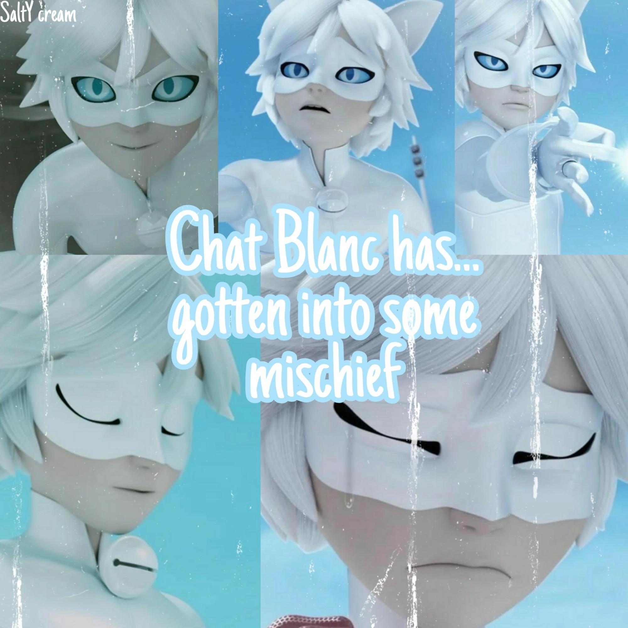 Chatblanc | Fandom