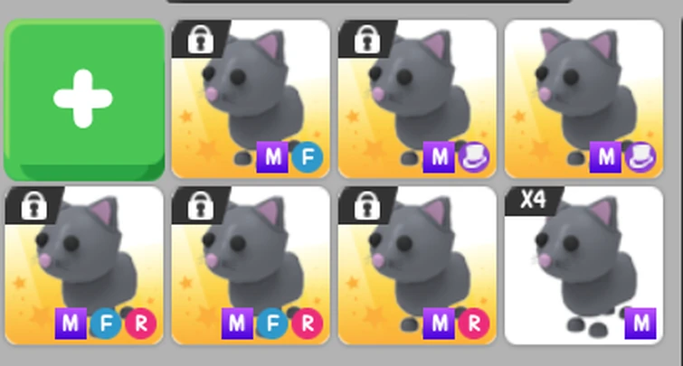 Officially have every version of the mega kitty | Fandom