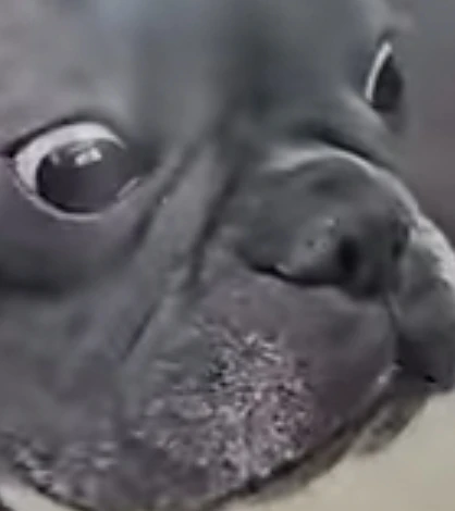 Therapist: IRL pebble isn't real he can't hurt you IRL Pebble: | Fandom