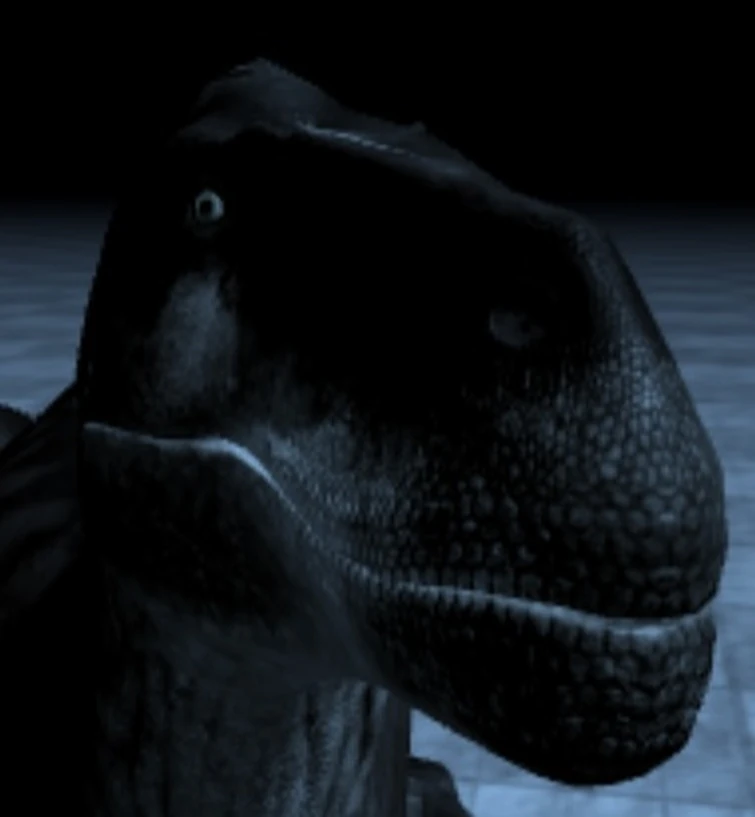 Felliso with a bucket hat | Fandom