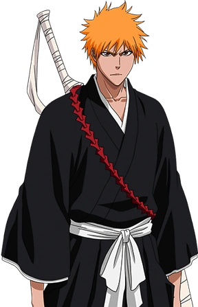 Shinigami vs Pirate | Fandom