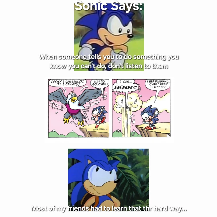 Just another Sonic meme | Fandom