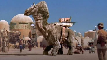 Discuss Everything About Wookieepedia | Fandom