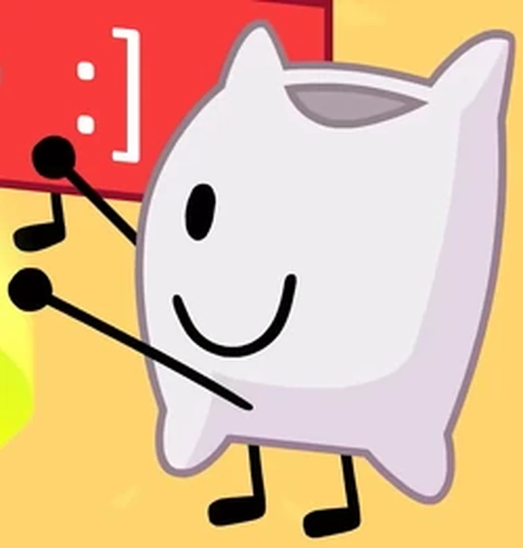 pillow my second favorite insane object | Fandom