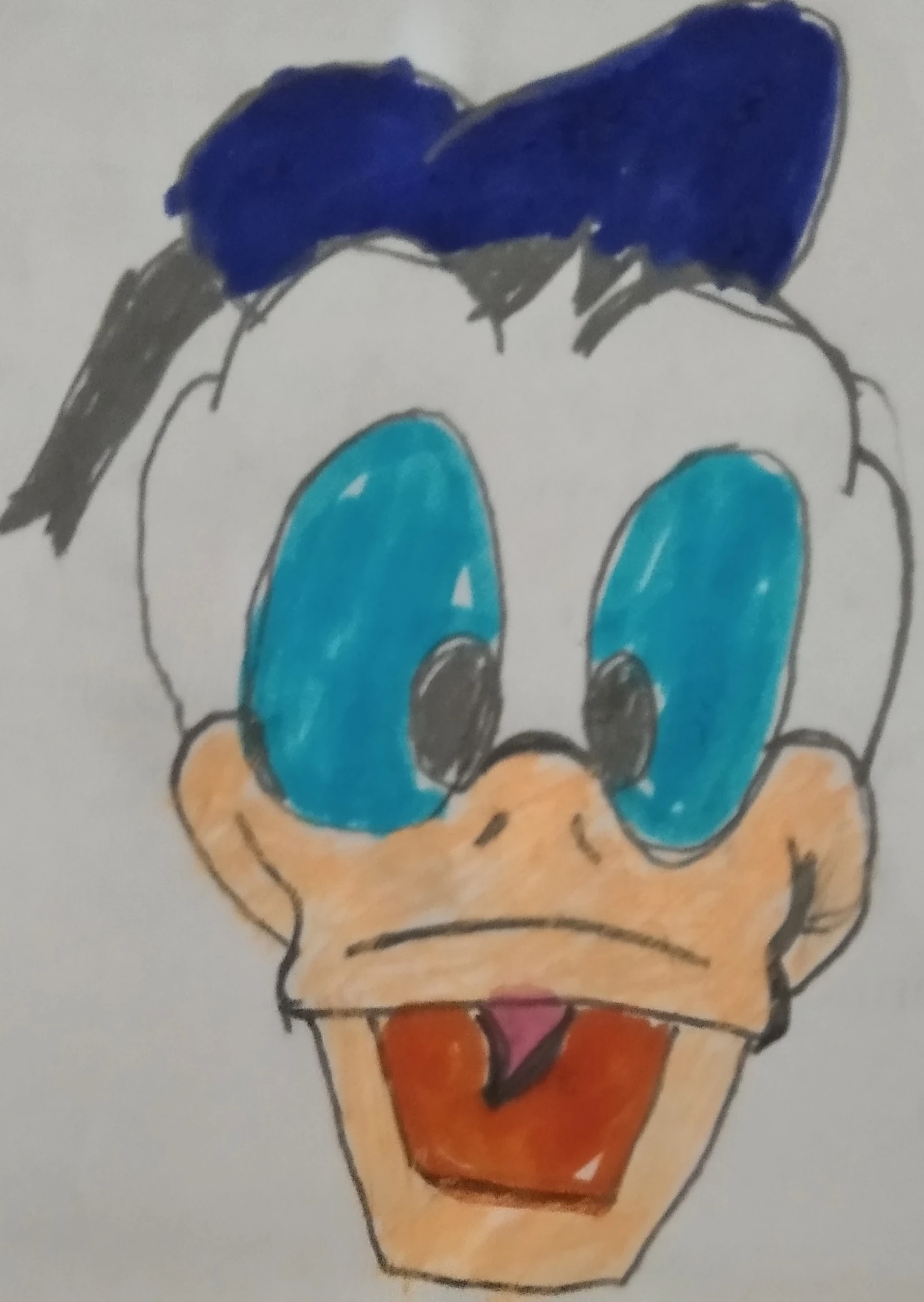 My drawing of Donald's face | Fandom