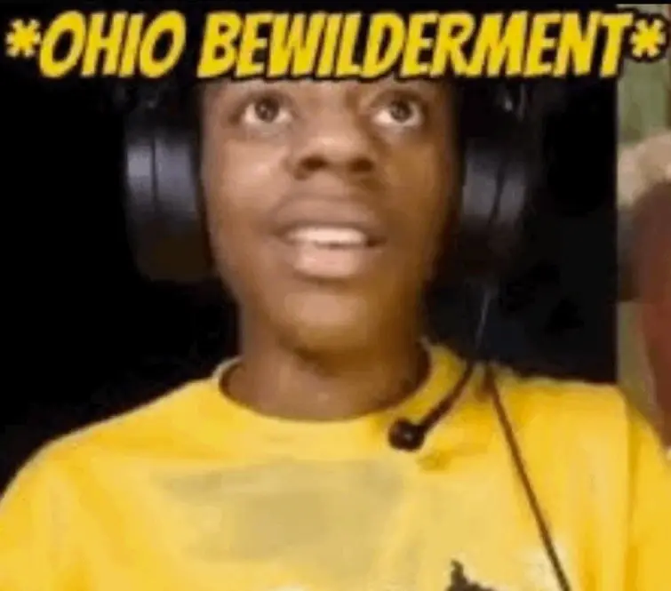 I love pizza tower but the modding community is just filled with the ...