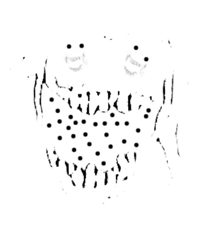 New Canny Phase | Fandom