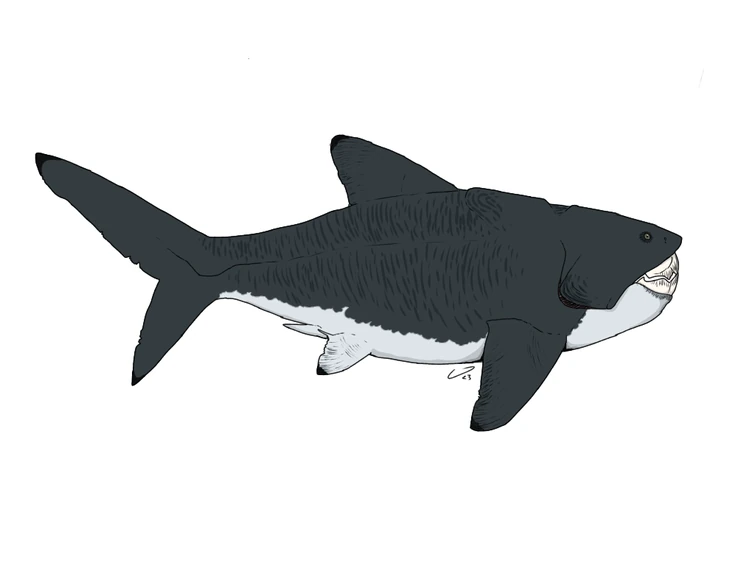 Deng’s Fish | Fandom