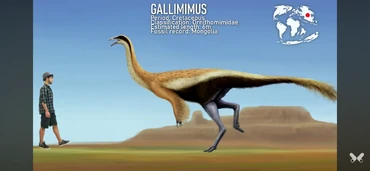 Better Ornithomimid? | Fandom