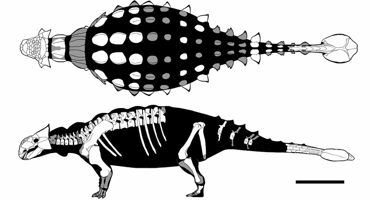 Discuss Everything About Dinopedia | Fandom