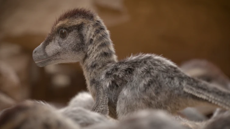 Is it just me or the jwe3 deinochyus is based on the PP baby ...