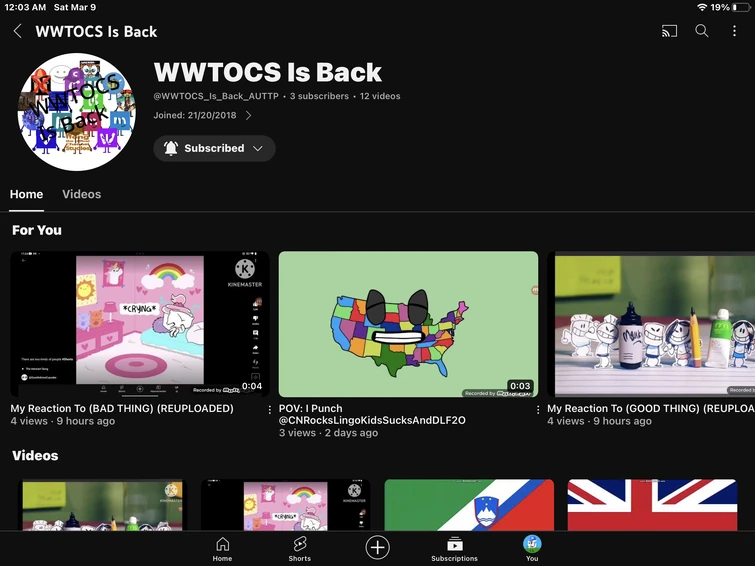 I'm Happy That Wai-Li Wong The Offical Channel Studios Is Back | Fandom