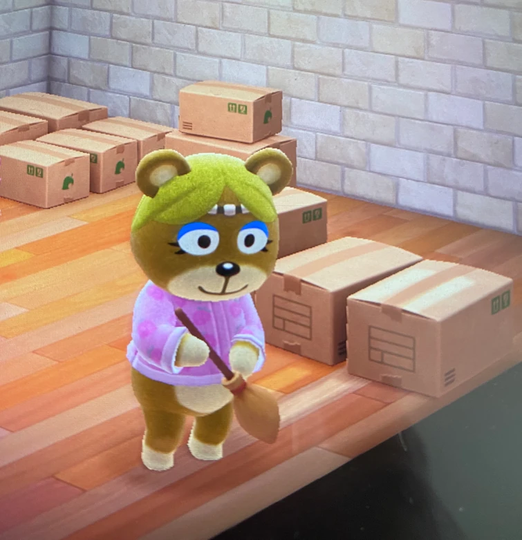 Paula in boxes if anyone is interested! | Fandom