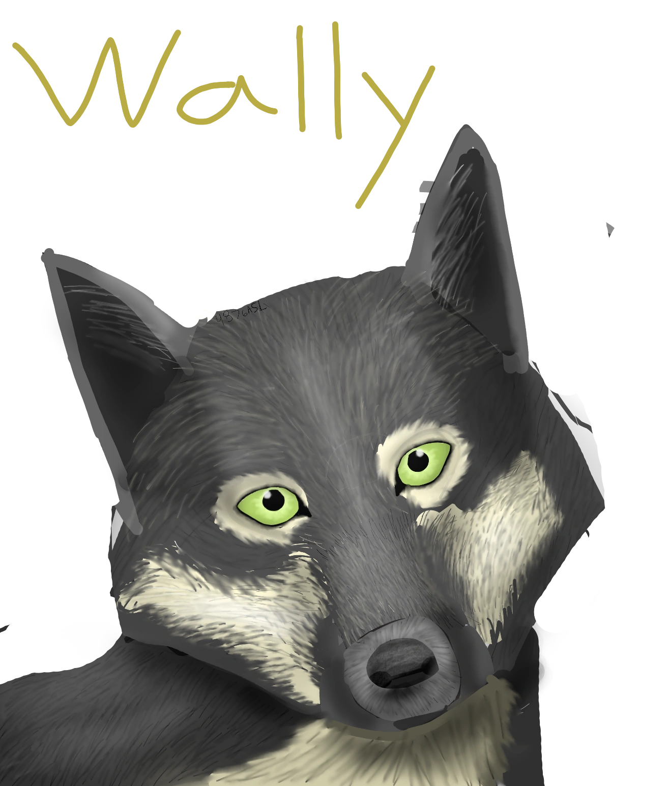 i drew a wolf because they're really cool | Fandom