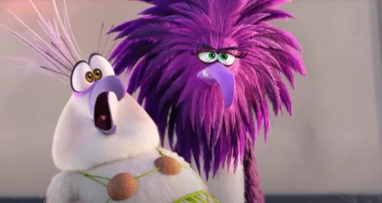 Post images of your favorite birds being angry | Fandom