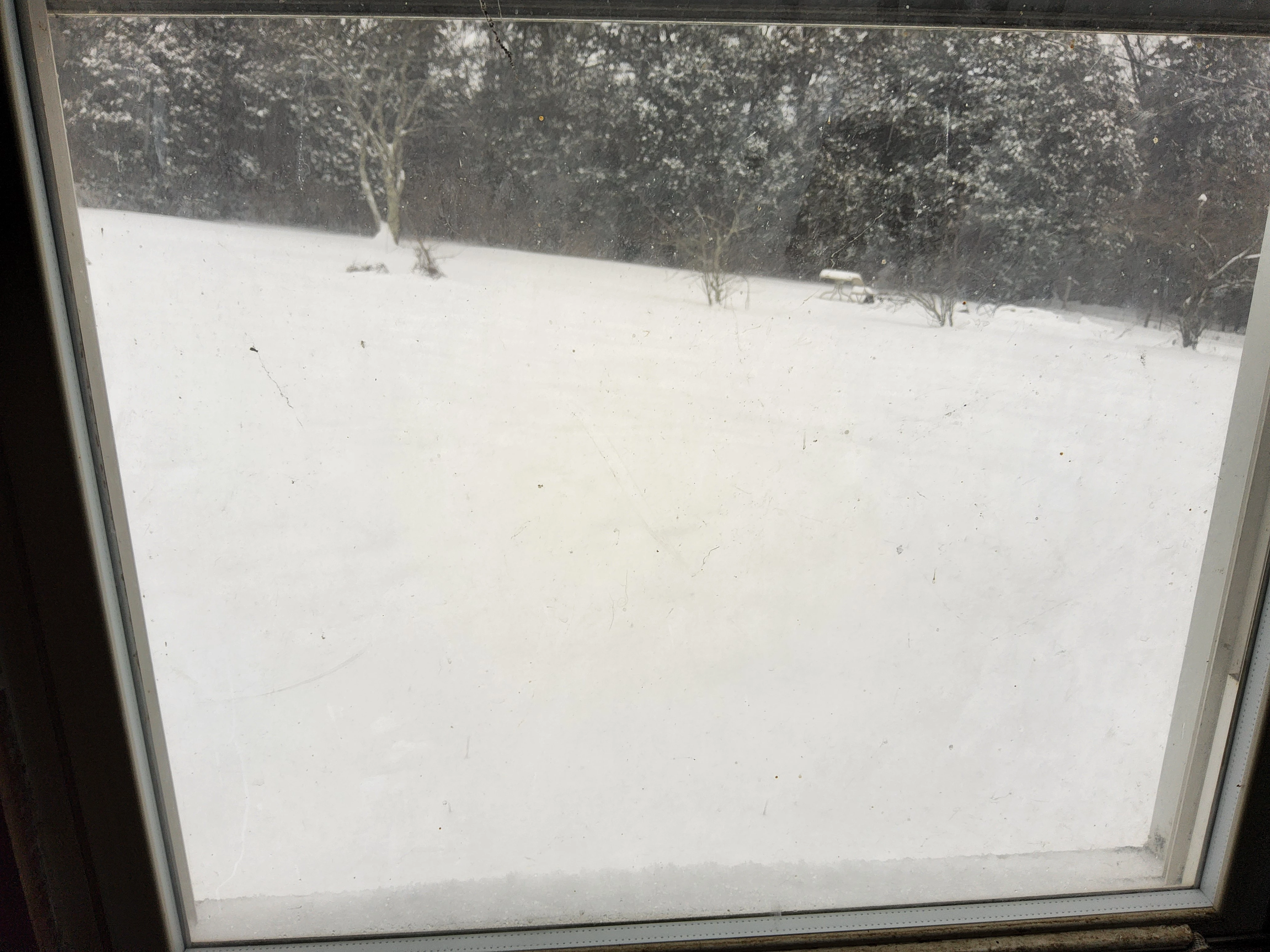 Add as much sprunkis you can to this image! (Download previous image in ...