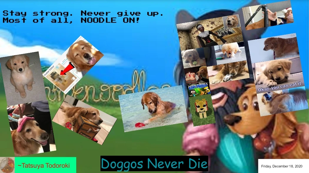 R.I.P Kopi (Thinknoodles' Dog). | Fandom