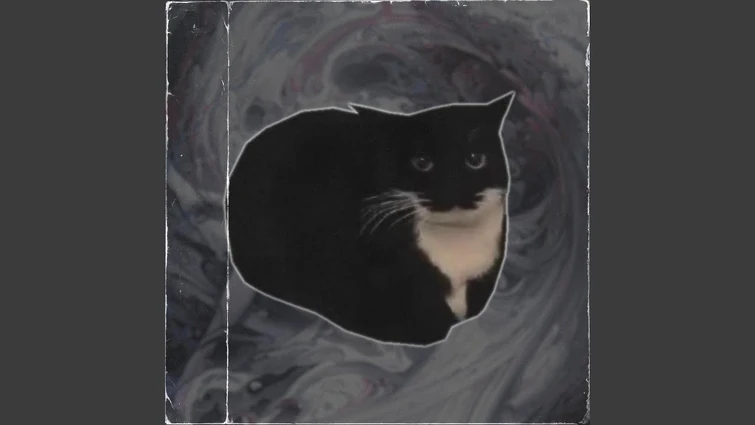 maxwell the cat | Fandom