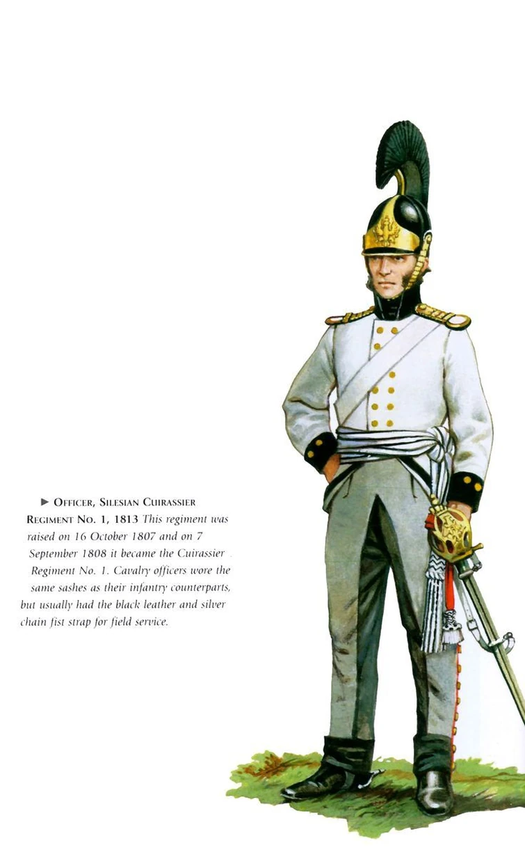 found this image and i think i would look cool for a prussian regiment ...