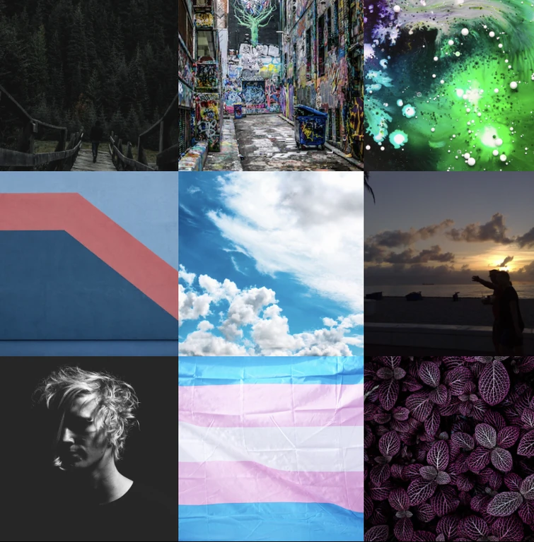 tell me what creatures fit with the following mood boards please ...