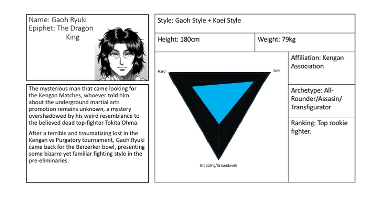 Fighter Files: Gaoh Ryuki | Fandom
