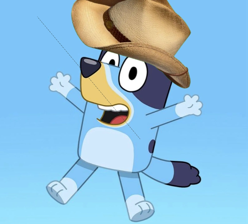 Cowboy Bluey | Fandom