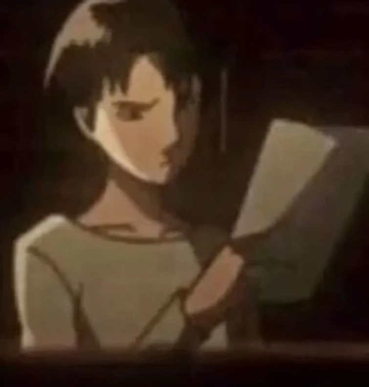 Wit Levi or Mappa Levi? | Fandom