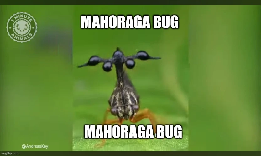 MAHORAGA BUG | Fandom