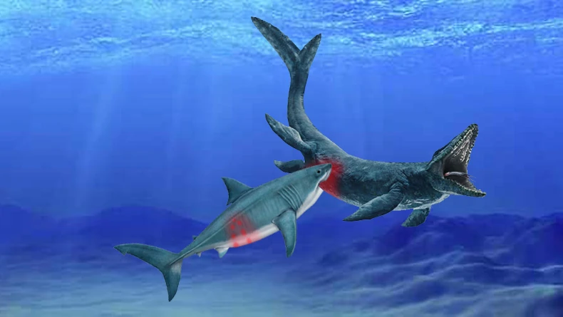 Megalodon vs Mosasaurus | Fandom
