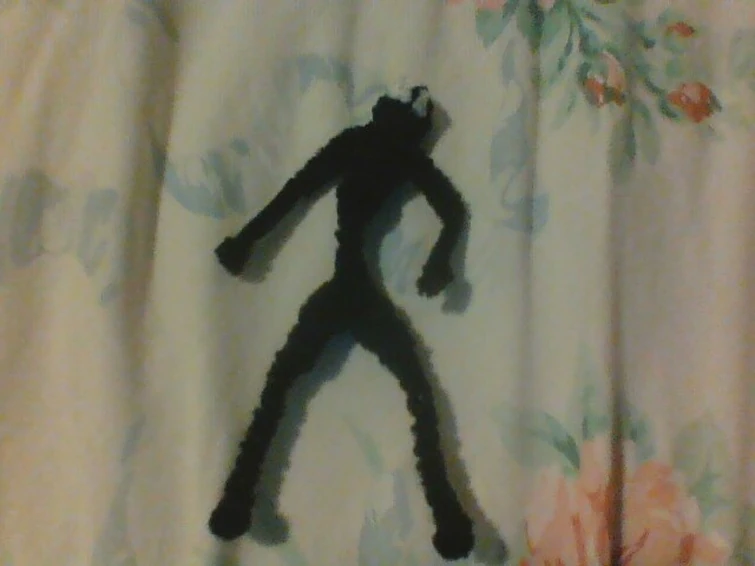 bro got folded | Fandom