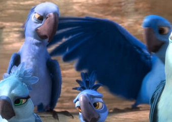 Could These be Blu's Parents disappointed in him for not making the ...