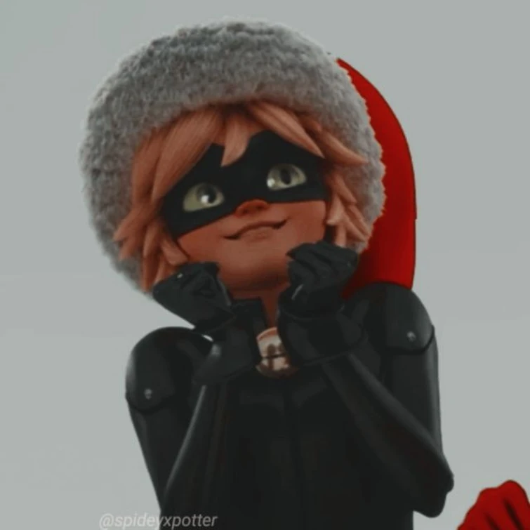Cat noir??? | Fandom