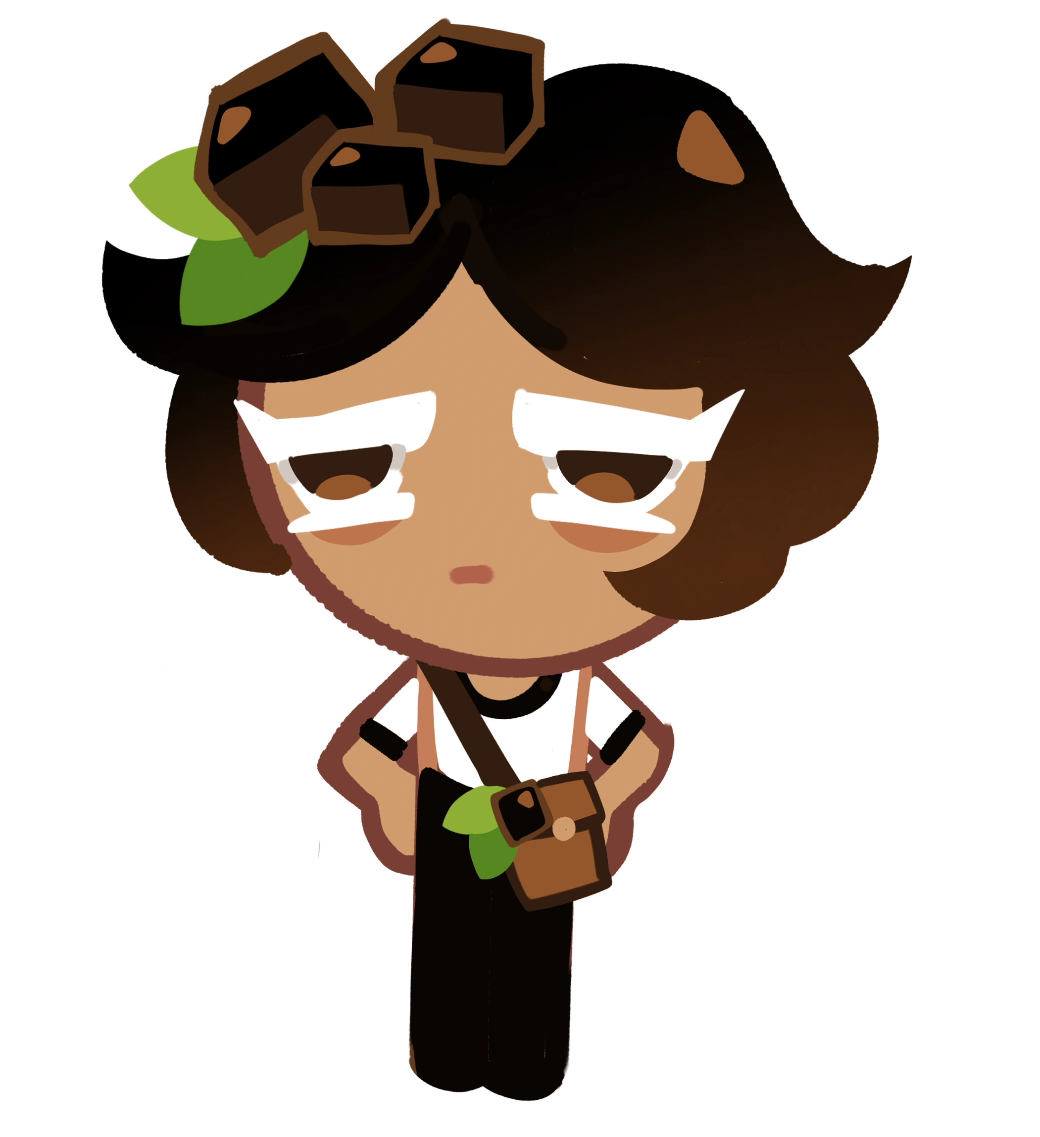 Made a cookiesona for funsies | Fandom