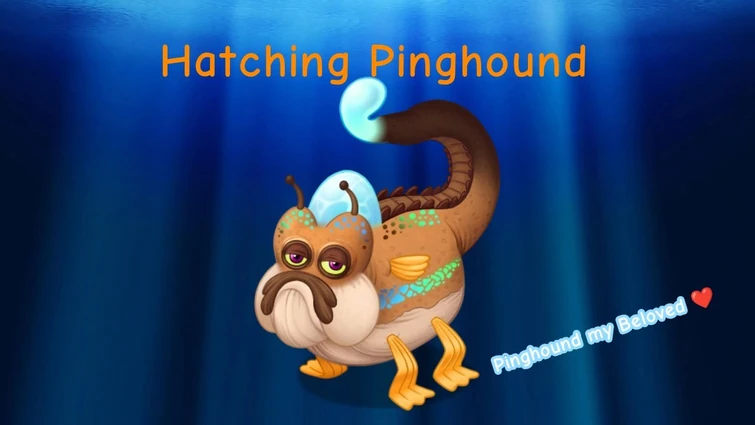 Pinghound my Beloved | Fandom