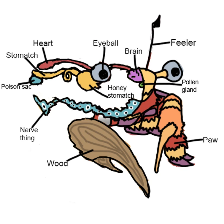 Monster Anatomy (4) | Fandom