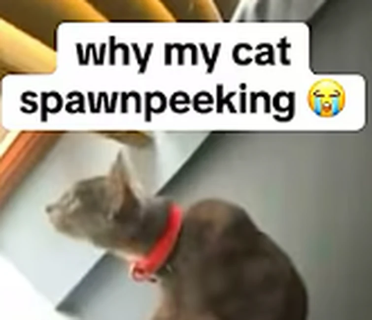 Ask me fucking questions | Fandom