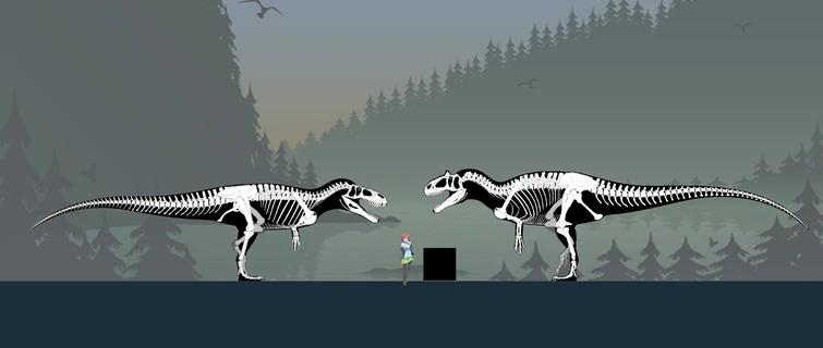 Am I stupid | Fandom