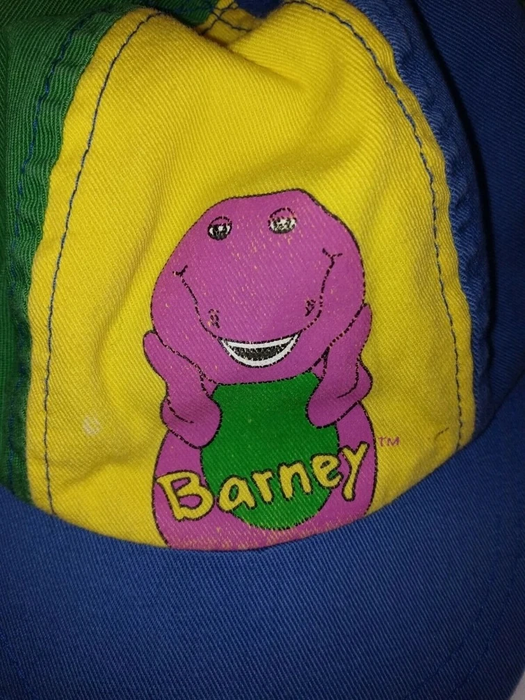 Discuss Everything About Barney Wiki | Fandom