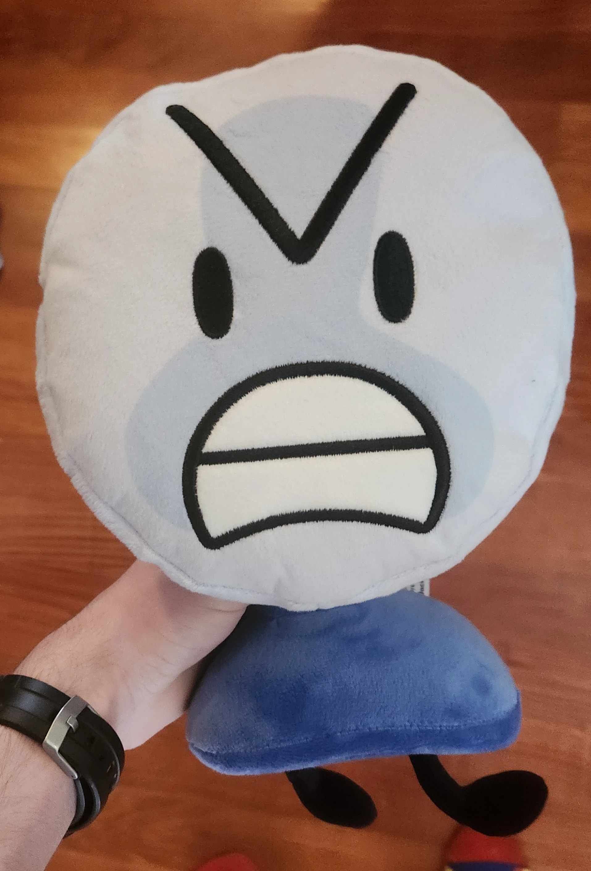 MY FANNY BFDI PLUSH ARRIVED TODAY | Fandom