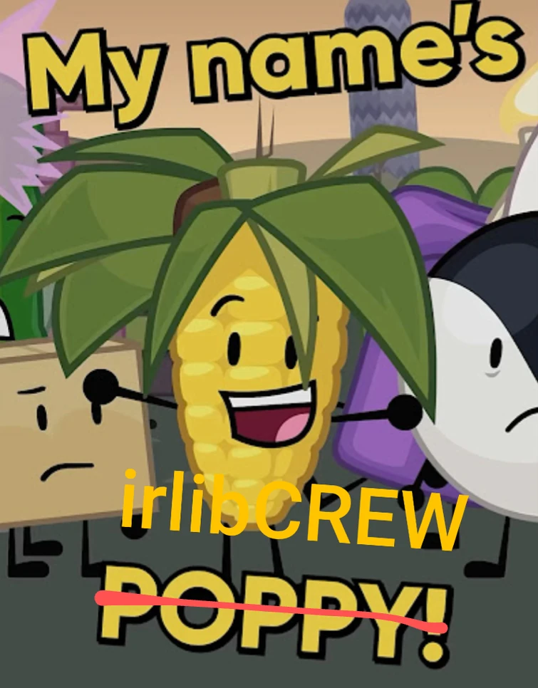 Sorry I'm new here sorry so sorry | Fandom