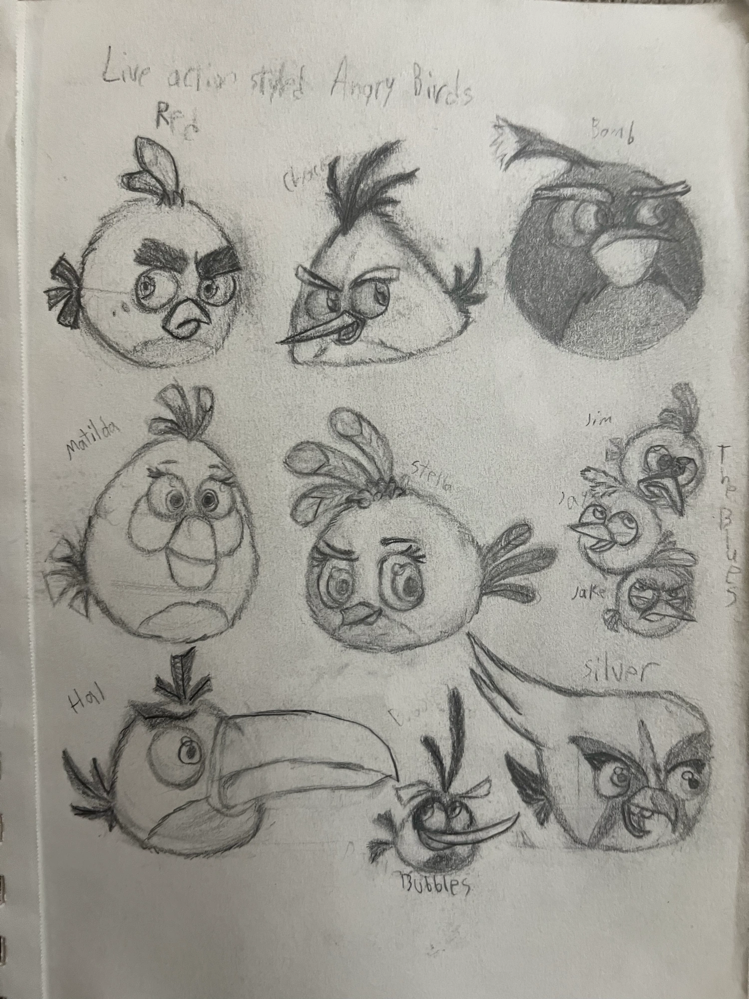 Live action styled Angry Birds | Fandom