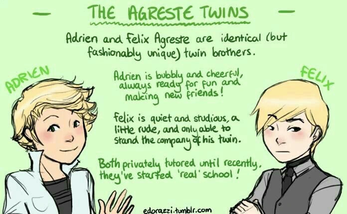 Twins | Fandom