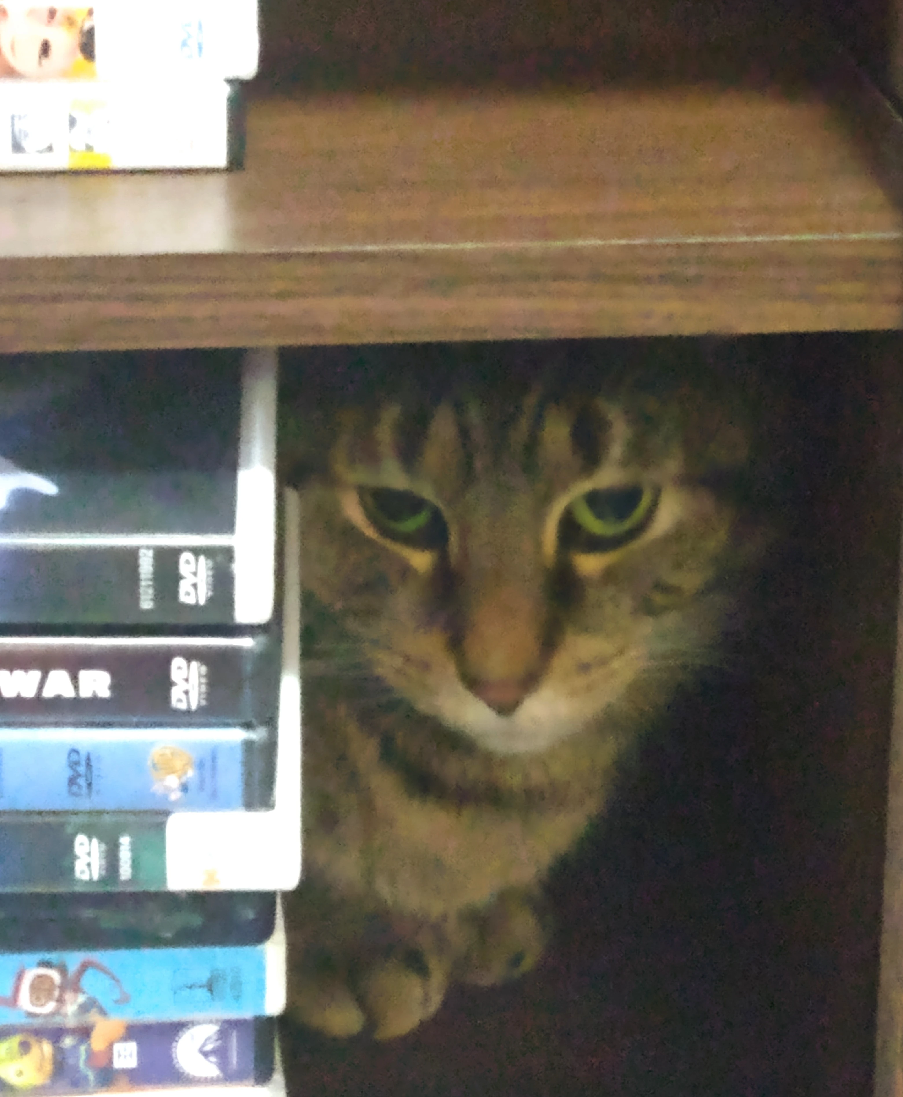 This is Axel now: | Fandom