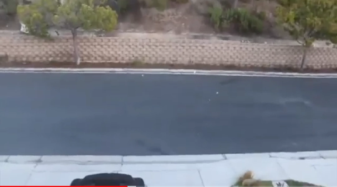 Jaxen Ross Is back | Fandom