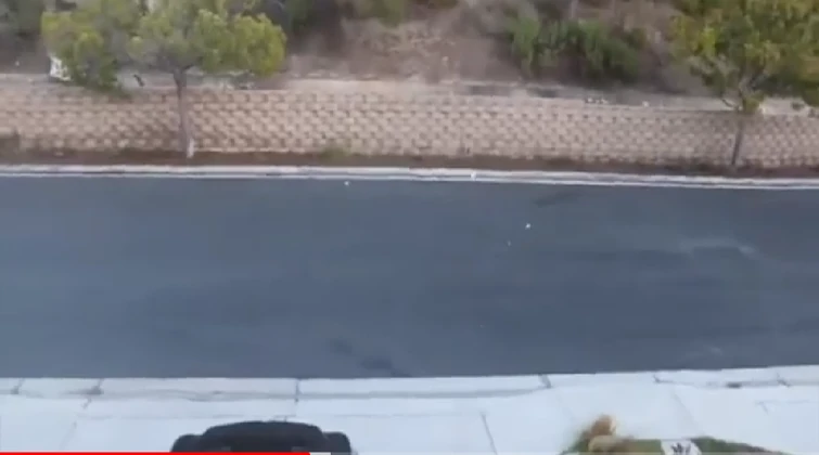 Jaxen Ross Is back | Fandom