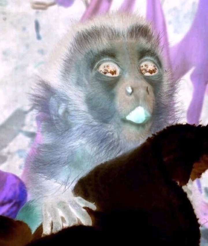 OhCase when CaseOh walks in | Fandom